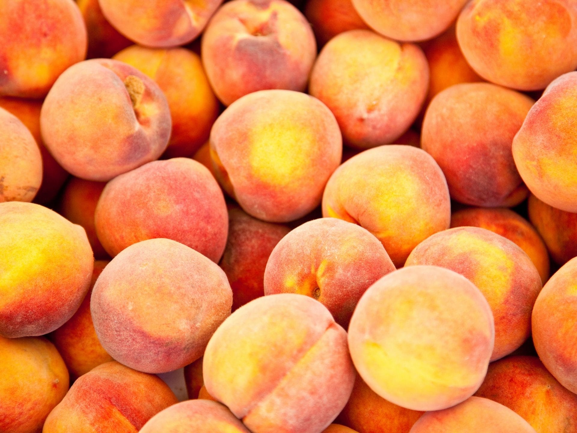 Picking (and storing) Perfect Peaches – Memory Morsels